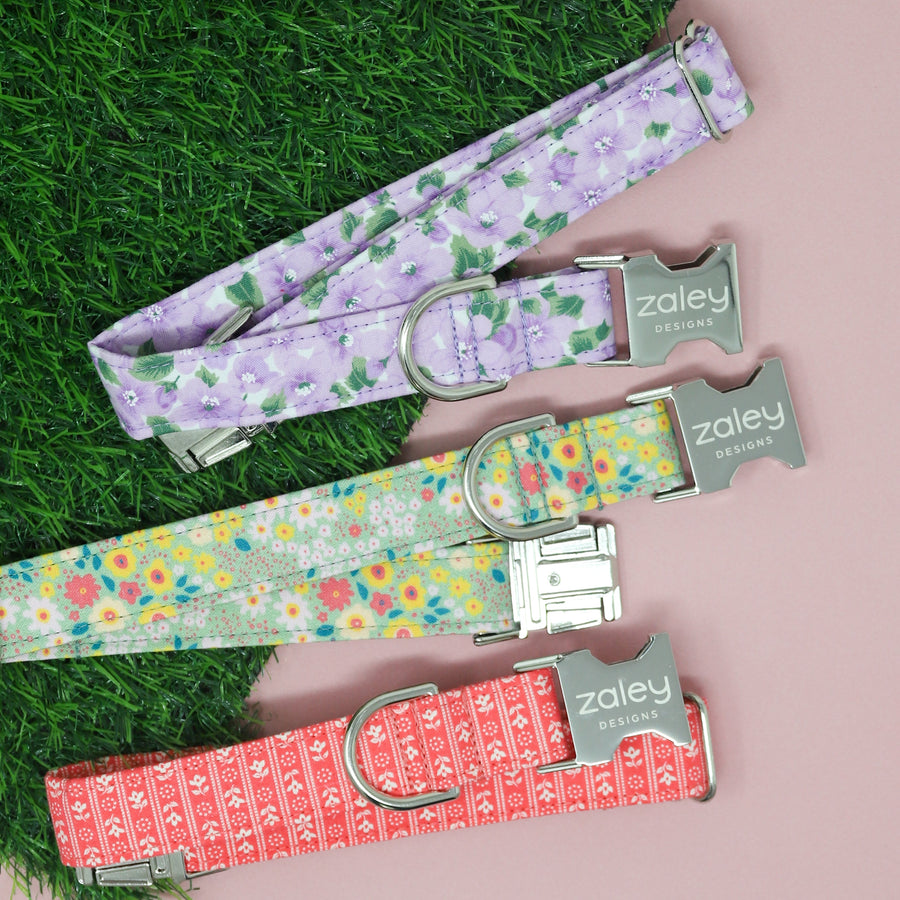 Dog Collars by Zaley Designs