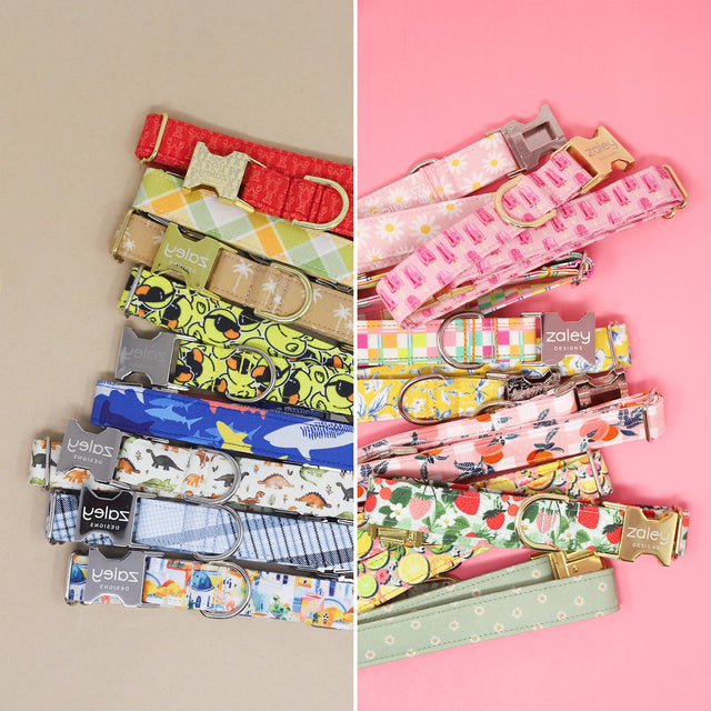 Dog Collars by Zaley Designs