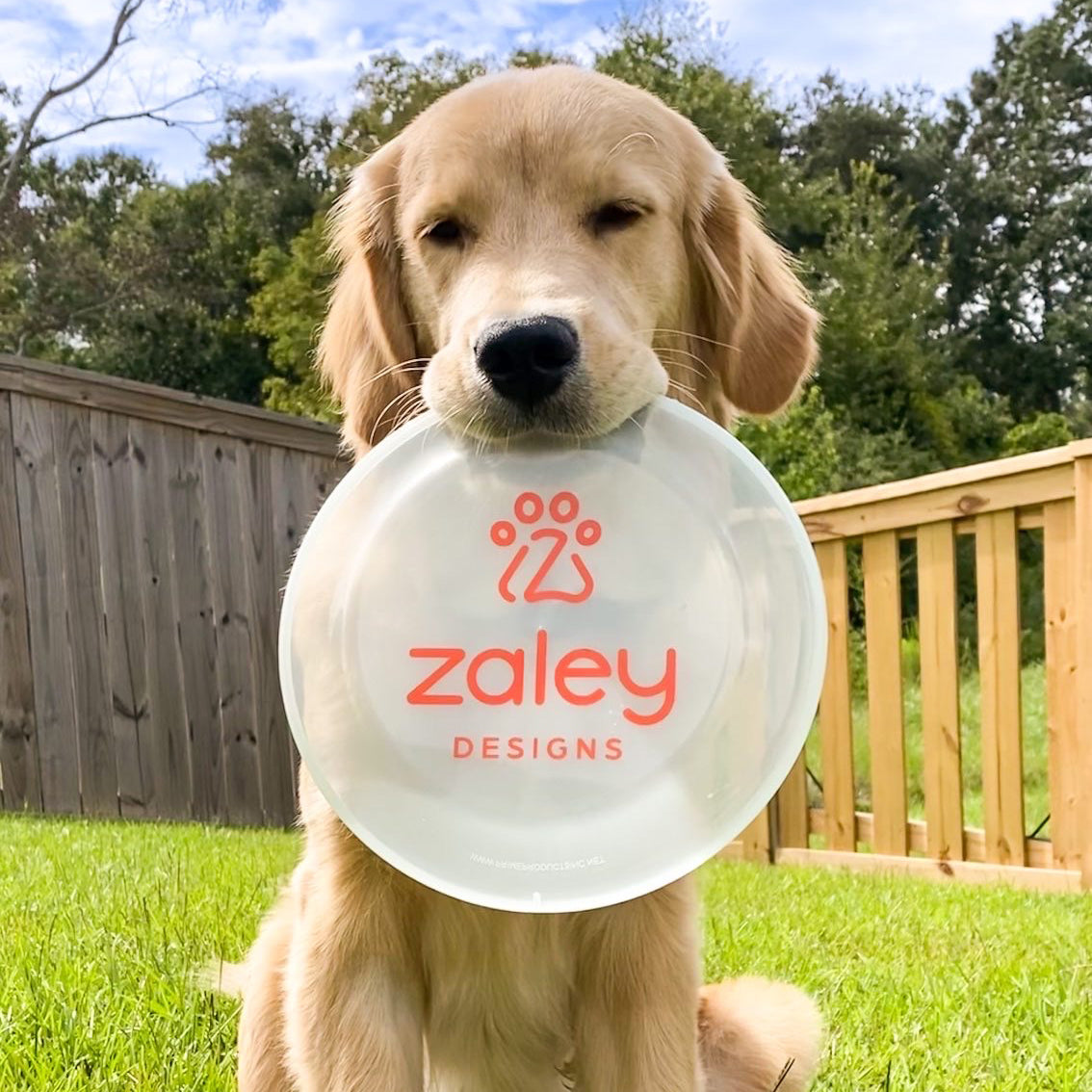 Apollo's Market – Zaley Designs