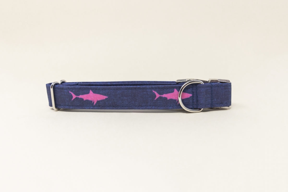Pink and Navy Sharks Dog Collar – Zaley Designs